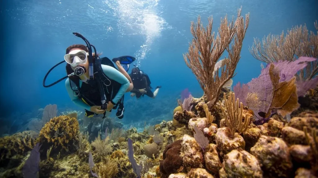 PADI Scuba Diving Courses & Certifications Malaysia